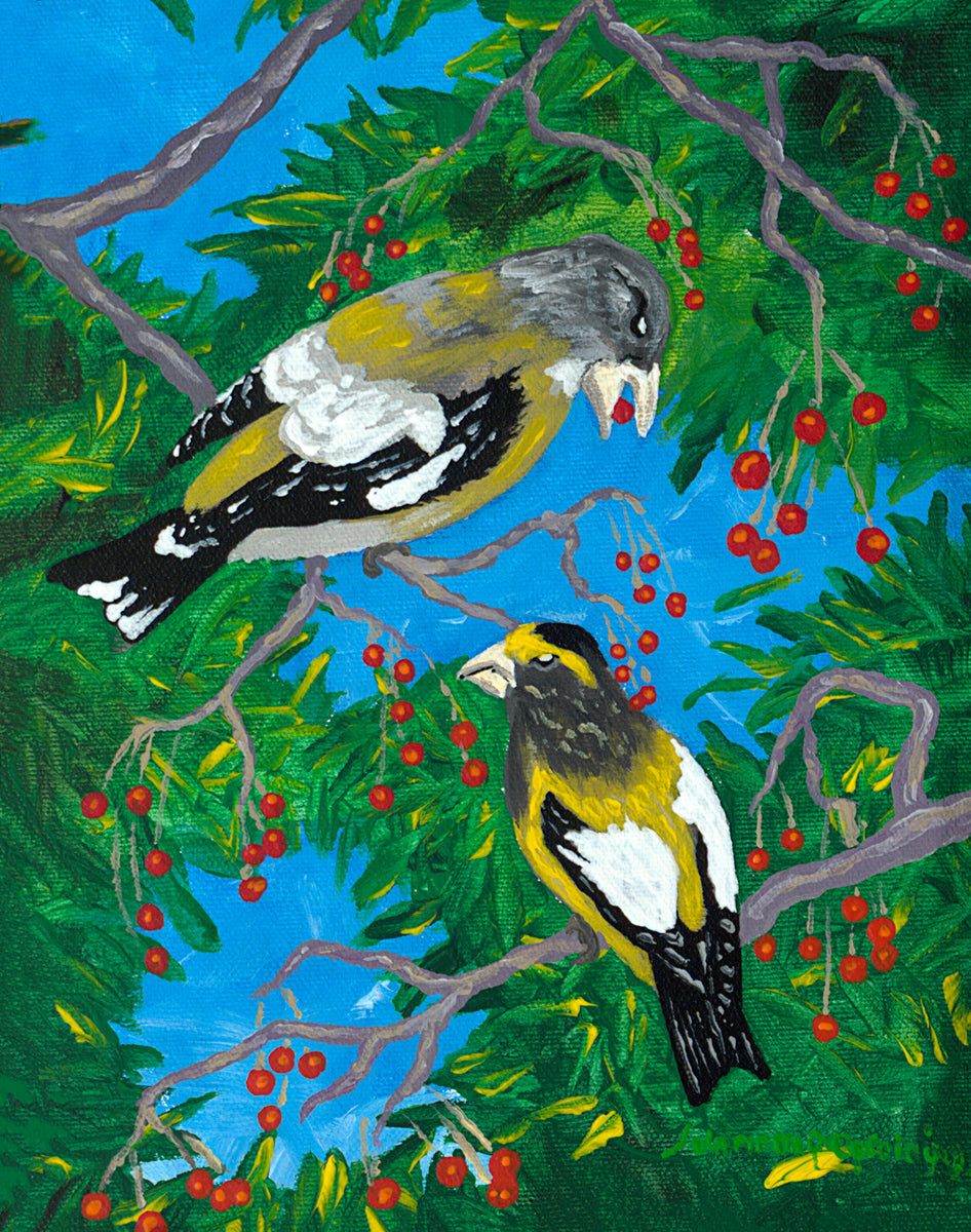 Choke Cherry Birds – Jonathan Warm Day Coming Fine Art